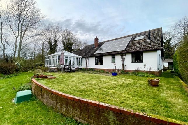 Chediston, Halesworth IP19, 5 bedroom detached bungalow for sale ...