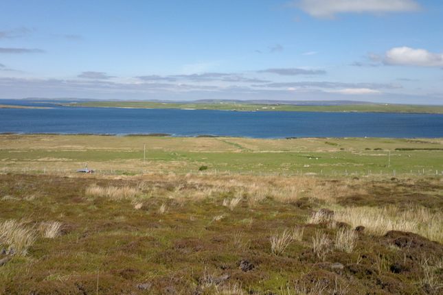 Orkney farms and land for sale - Buy farms and land in Orkney ...