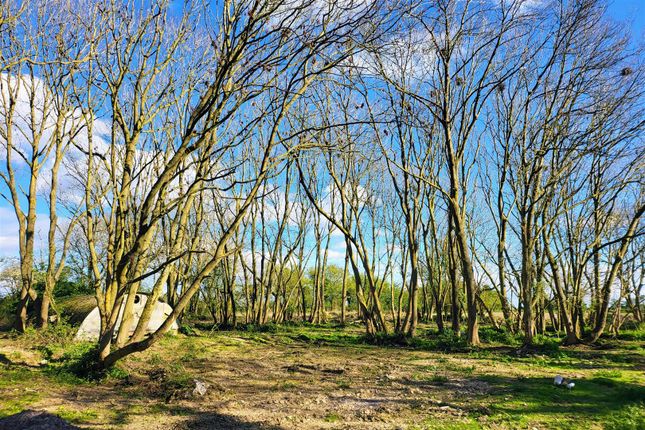 Friars, Braughing, Ware SG11, land for sale - 67155510 | PrimeLocation