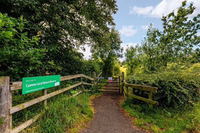 30 Cammo Road, Cammo, Edinburgh EH4, 3 bedroom semi-detached house for ...