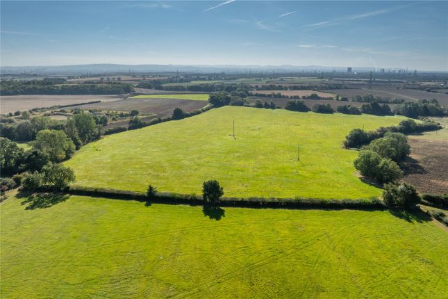 Springwell Farm, Billingham, Cleveland TS22, 4 bedroom equestrian ...