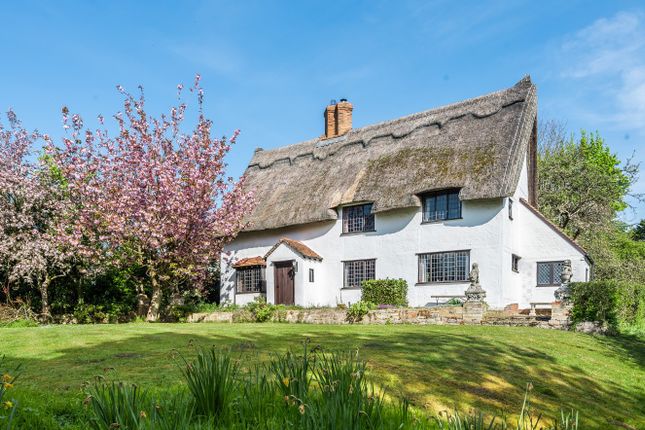 Mill Road Great Bardfield Braintree Cm7 4 Bedroom Detached House For