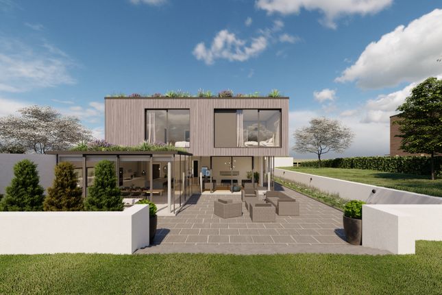 Wingate Meadow, Long Sutton, Hook RG29, 5 bedroom detached house for ...