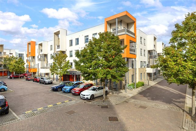 Living in Cambridge: area guide - Zoopla