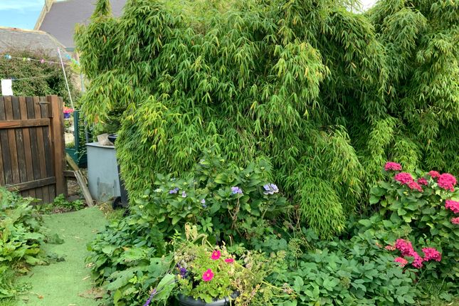 High Street, Strichen AB43, 3 bedroom terraced house for sale ...