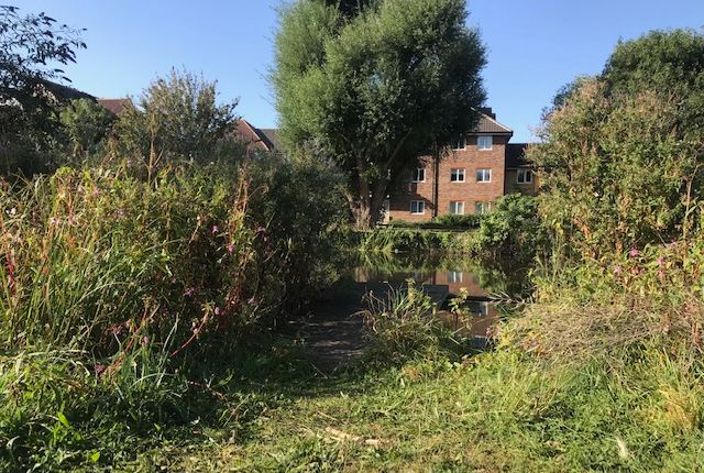 Tumbling Bay Weir, Star Street, Ware SG12, land to rent - 52774575 ...