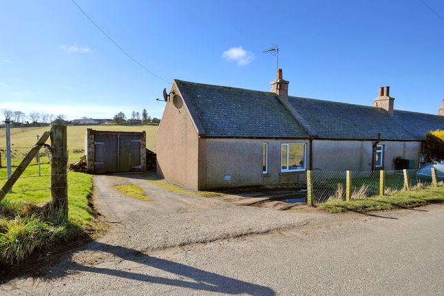 Hatton, Peterhead AB42, farm for sale - 66915729 | PrimeLocation