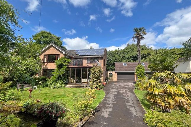 Homes for Sale in Sidmouth - Buy Property in Sidmouth - Primelocation