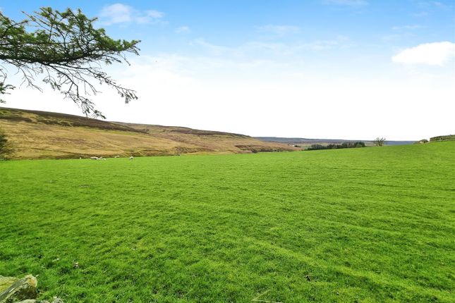 Fineburn Caravan Park, Frosterley, Weardale DL13, 2 bedroom mobile/park ...