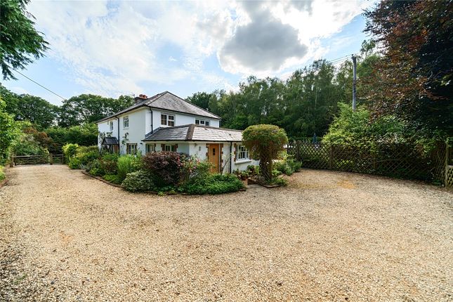 Binsted Road, Bucks Horn Oak, Farnham, Surrey GU10, 4 bedroom detached ...
