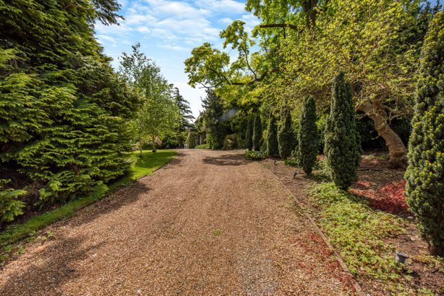 Rectory Lane, Saltwood, Kent CT21, 8 bedroom detached house for sale ...