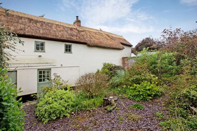 Hall Lane, Holcombe, Dawlish EX7, 3 bedroom detached house for sale ...