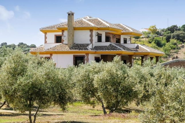 Properties for sale in Seville, Andalusia, Spain - Seville, Andalusia ...