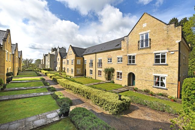 Homes for Sale in Warnham - Buy Property in Warnham - Primelocation