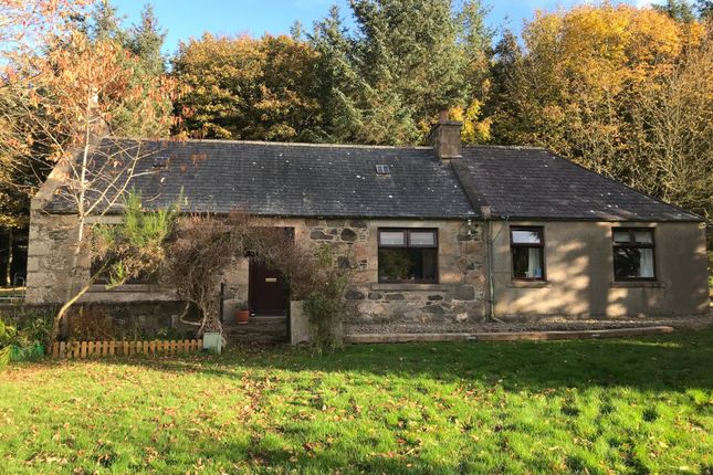 Tarves, Ellon, Aberdeenshire AB41, bungalow for sale - 56861973 ...