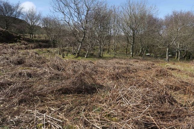 Skinidin, Dunvegan, Isle Of Skye IV55, land for sale - 64469552 ...