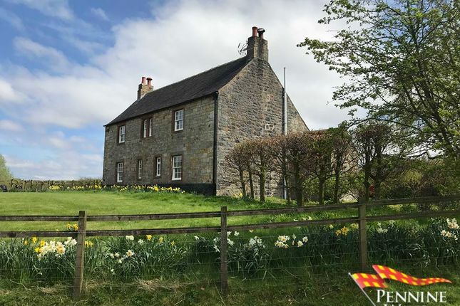 Homes for Sale in Brampton - Buy Property in Brampton - Primelocation