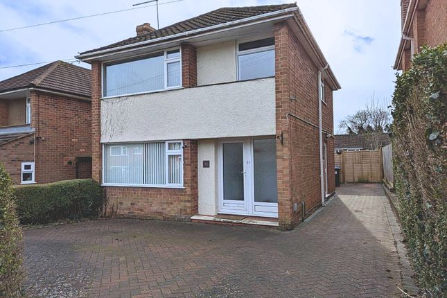 Homes to Let in Daventry - Rent Property in Daventry - Primelocation