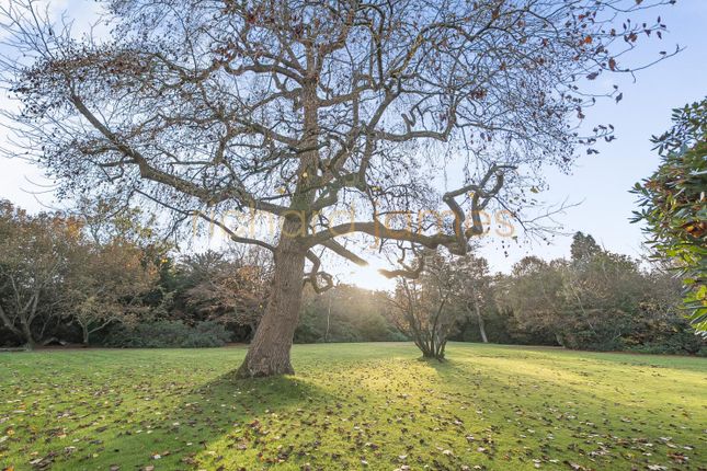 Totteridge Common, Totteridge, London N20, 2 bedroom cottage for sale ...