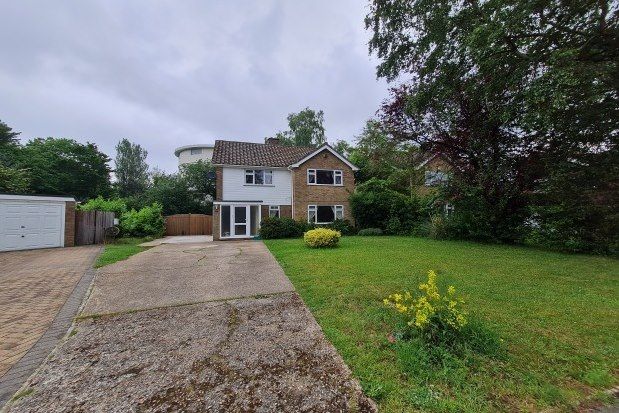 Homes to Let in Maidstone - Rent Property in Maidstone - Primelocation