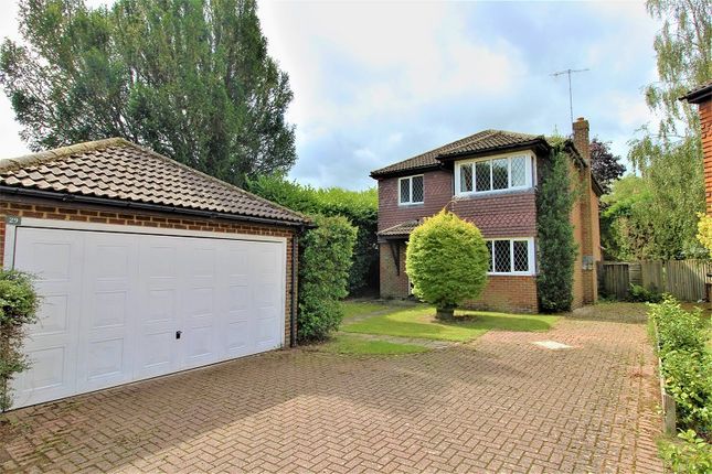 Homes for Sale in Lingfield - Buy Property in Lingfield - Primelocation
