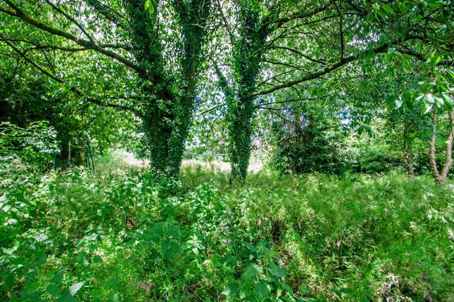 Ripon Road, Killinghall, Harrogate HG3, 4 bedroom semi-detached house ...