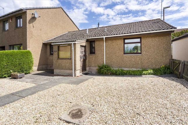 Homes for Sale in Linlithgow - Buy Property in Linlithgow - Primelocation