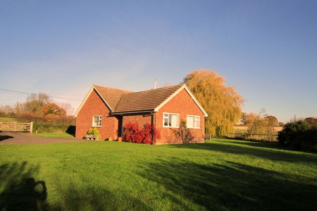 3 bed detached bungalow to rent in Green Lane, Chart Sutton, Maidstone ...