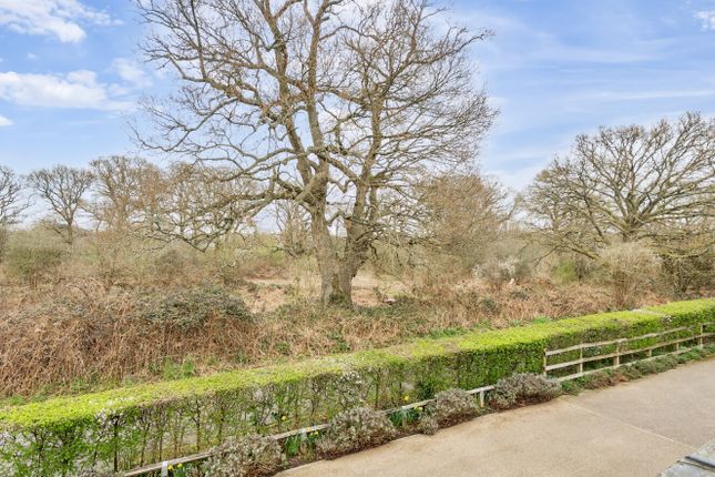 Abbess Close, Romsey, Hampshire SO51, 5 bedroom detached house for sale ...