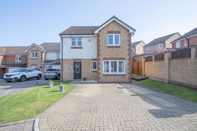 Homes for Sale in Falkirk - Buy Property in Falkirk - Primelocation