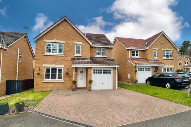 Houses for Sale in Paisley - Paisley Houses to Buy - Primelocation