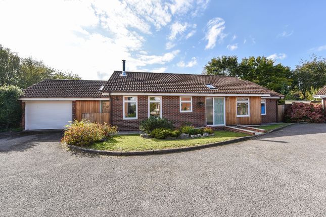 3 bed detached bungalow for sale in Long Down, Petersfield GU31 - Zoopla