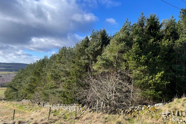 Rafford, Forres IV36, land for sale - 67153148 | PrimeLocation