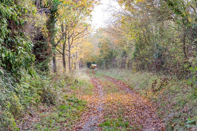 East Barn At Hedgerows Farm, Brent Eleigh, Suffolk CO10, land for sale ...