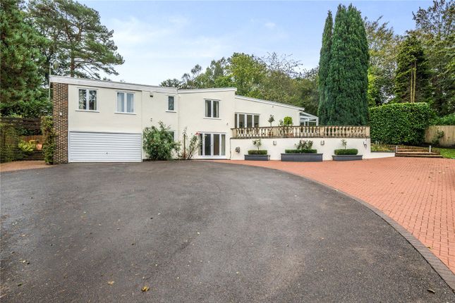 Bungalows to rent in England | Houses To Let | PrimeLocation