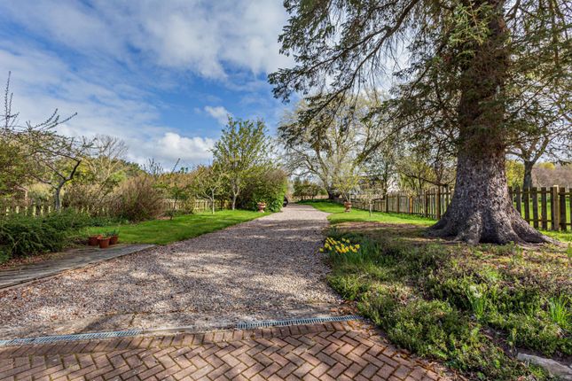 Kinloss, Forres, Morayshire IV36, 4 bedroom detached house for sale ...