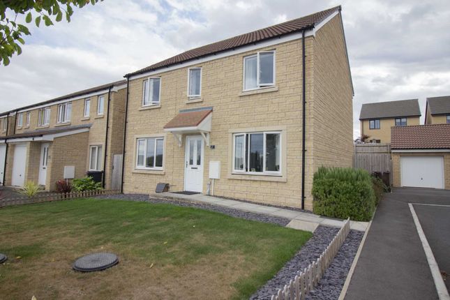 Homes for Sale in Frome - Buy Property in Frome - Primelocation