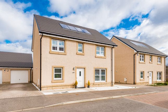 23 Milne Meadows, Old Craighall, Musselburgh EH21, 4 bedroom detached ...