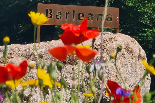 Barhill Road, Dalbeattie DG5, 2 bedroom bungalow for sale - 66509816 ...