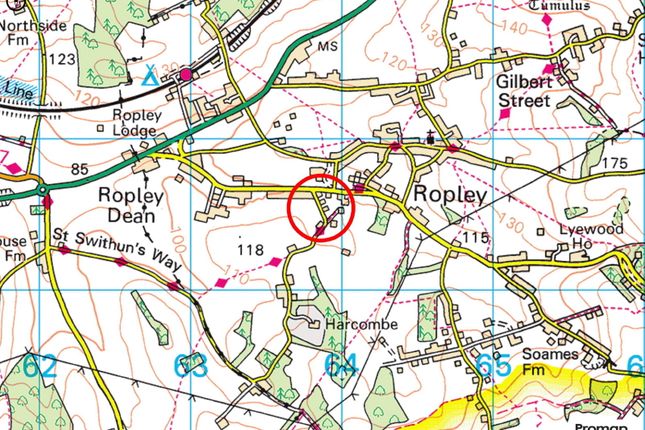 Park Place, Park Lane, Ropley SO24, 3 bedroom detached house for sale ...