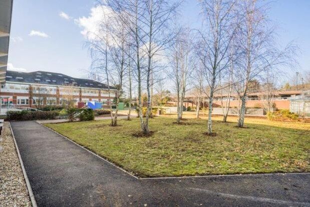 Lime Tree Way, Basingstoke RG24, 2 bedroom flat to rent - 64930983 ...