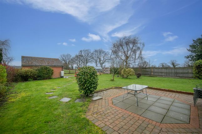 Badley Hall Road, Great Bromley, Colchester CO7, 4 bedroom semi ...