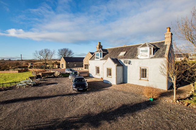 Homes for Sale in Portlethen - Buy Property in Portlethen - Primelocation