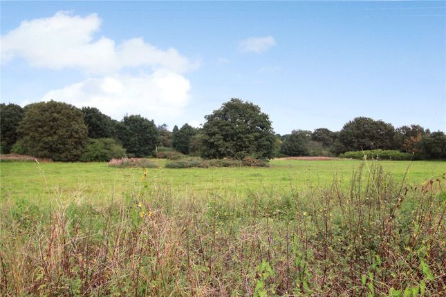 The Common, Swardeston, Norwich, Norfolk NR14, 4 bedroom detached house ...