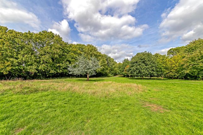 Puddingstone Drive, St.Albans AL4, 2 bedroom semi-detached house for ...