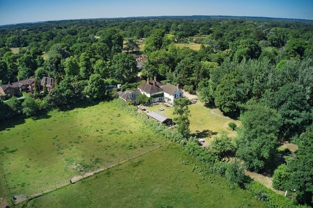 Bagshot Road, Chobham, Woking GU24, 5 bedroom detached house for sale ...