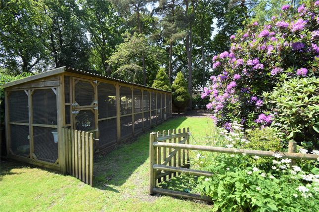 The Ridge, Cold Ash, Thatcham, Berkshire RG18, 3 bedroom semi-detached ...