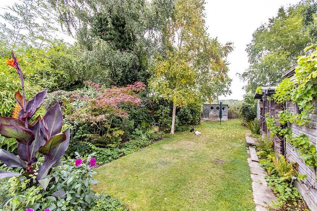 Woodcock Lane, Iden Green, Cranbrook TN17, 3 bedroom semi-detached ...