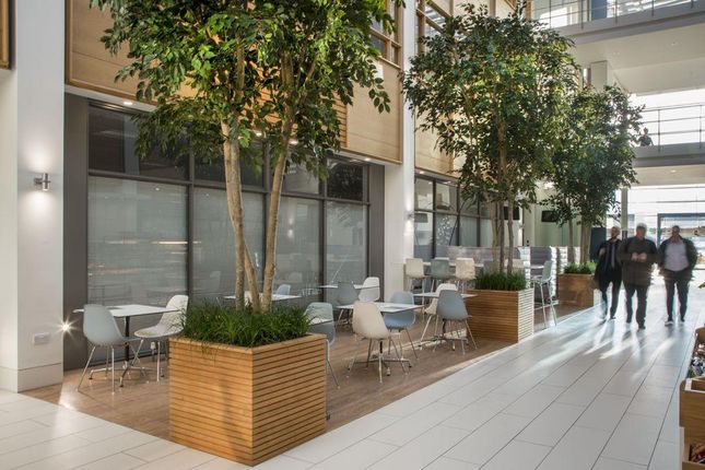 Imperium, Imperial Way, Reading, Berkshire RG2, office to let ...