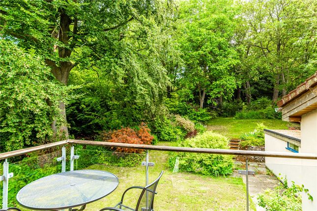 Pearman Drive, Dane End, Ware, Hertfordshire SG12, 4 bedroom detached ...